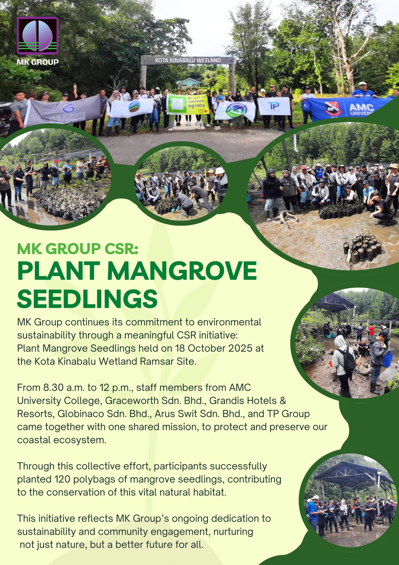 MK Group CSR: Plant Mangrove Seedlings - AMC University College | Kota ...